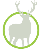 Start Here - Eldercare Resource Planning